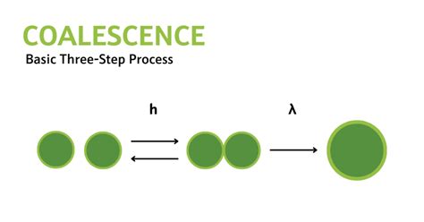 Coalescing Agents Learn The 3 Step Process Of Coalescence
