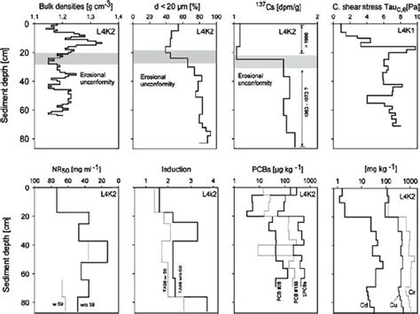 9 Non Intrusively Measured Density Profile D