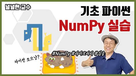 19 1 numpy 라이브러리 기초실습 널널한 교수의 기초 파이썬 ft 파이썬 코딩 youtube