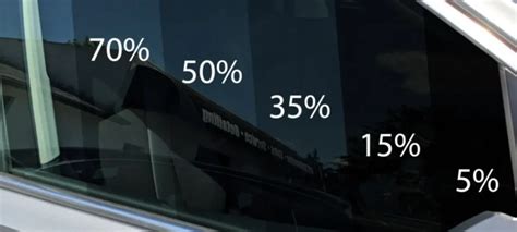 Tint Percentages Explained Find Your Ideal Level