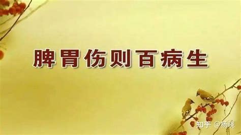 小儿推拿杨晓宝宝脾虚表现如何呵护脾胃健康让宝宝健康成长 知乎