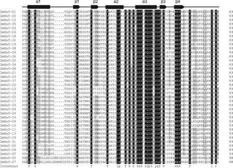 Multiple Sequence Alignment Of Dna Binding Domains Of Soybean Hsfs Dbd