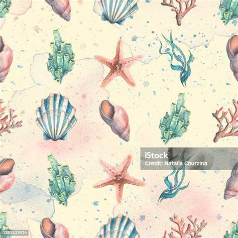 수채화 일러스트 패턴 불가사리 조개 산호 해파리 해마 물 바다 바다 수채화에 대한 스톡 벡터 아트 및 기타 이미지 수채화