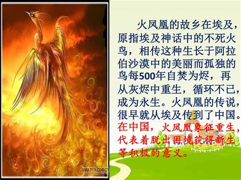 火凤凰的传说 火凤凰的传说来历 火凤凰描述 大山谷图库