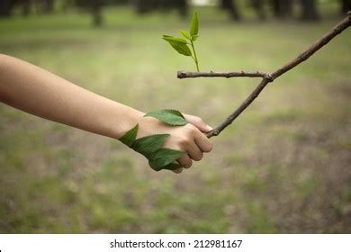 Shaking Hands Tree Images Stock Photos Vectors Shutterstock