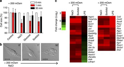 Hyperosmotic Stress Induces Adaptation Response In Macrophages A B Download Scientific