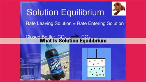 Understanding Solution Equilibrium Equilibrium Constant Dynamic Equilibrium And Reaction Quotient