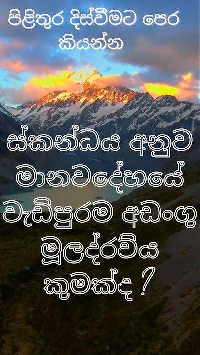 10 වසර විද්‍යාව ප්‍රශ්නය 2 Grade 10 Science Questions Shorts Subcribe