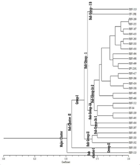 Consensus Tree Showing Clustering Of Thirty Sweet Sorghum Genotypes Download Scientific Diagram