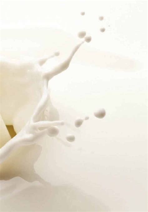 Lactic Acid Bacteria As Source Of Functional Ingredients Artofit