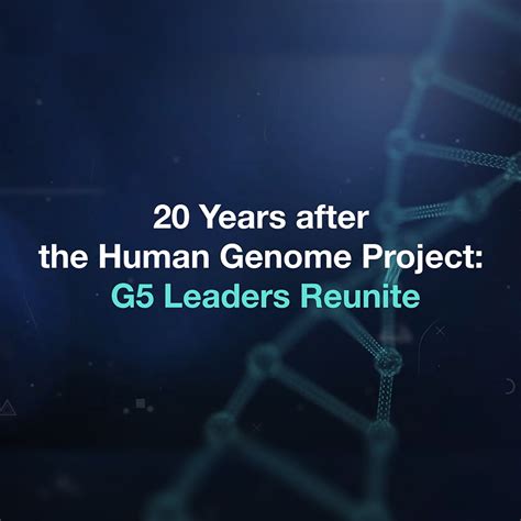 Human Genome Project Poster Human Genome Project Model Youtube
