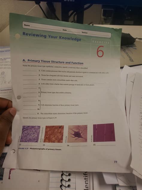 Solved Name Date Section Reviewing Your Knowledge E Xercise