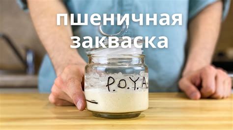 Пшеничная закваска для хлеба | Полностью с нуля - YouTube
