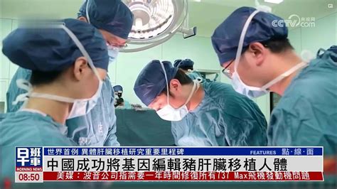 中国成功将基因编辑猪肝脏移植人体 凤凰网视频 凤凰网