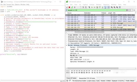 Shaun Roberts On Linkedin Python Bgp Programming