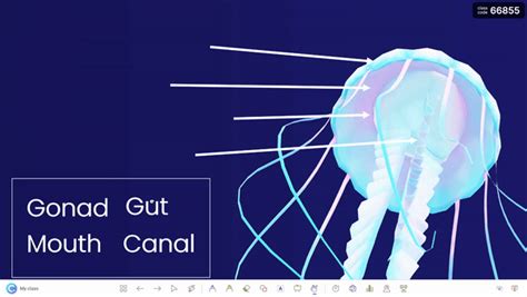 3 Super Easy Ways To Build A Decision Tree In Powerpoint Classpoint