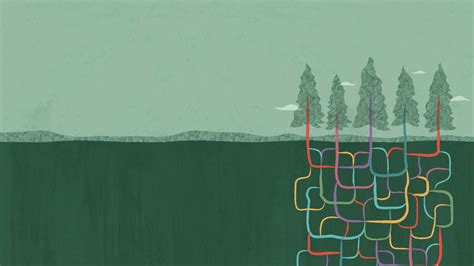 Weblogic Application Server Oracle Cloud