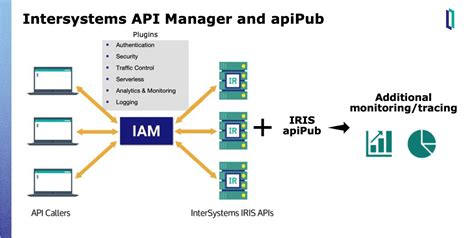 Fast API Development Using InterSystems Open Exchange Tools InterSystems