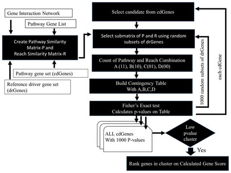 Cancer Driver Genes A Guilty By Resemblance Doctrine Peerj