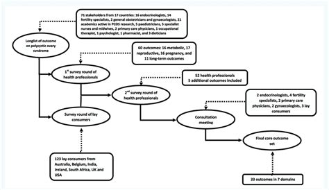 flow chart of the modified delphi method to develop a core outcome set