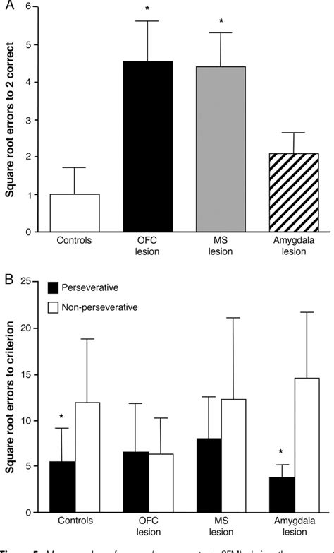 Figure 5 From The Role Of The Orbitofrontal Cortex And Medial Striatum In The Regulation Of