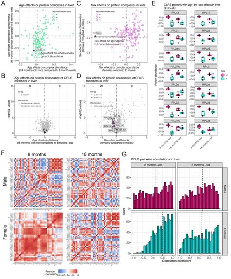 Crls In Liver Shows Age By Sex Differences In Complex Wide Abundance