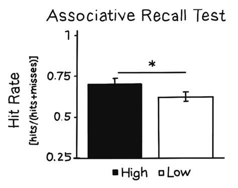 rewards influence 24h associative memory at a 24h test associative