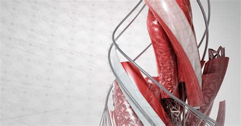 The Comprehensive Guide To Autocad For Beginners Everything You Need To Get Started Caddikt