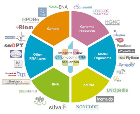 Non Coding Rna Annotation Embl Stanford Life Science Alliance