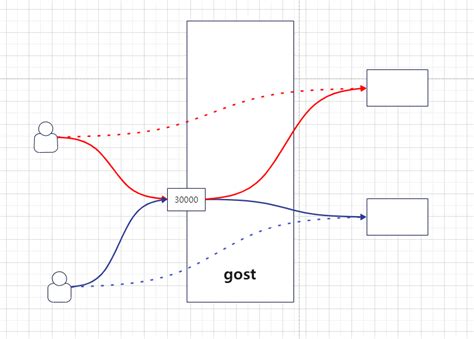 Feauture Request Adding Support For Port Based Limiter Issue Go Gost Gost Github