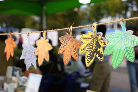 속초시청 지금 속초에서 제일 핫한곳 바로여기 🍁 제 58회 설악문화제 폐막식🍁 곧 폐막식이