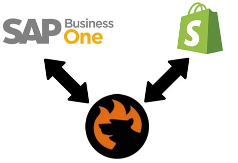 Shopify Sap Business One Integration Firebear