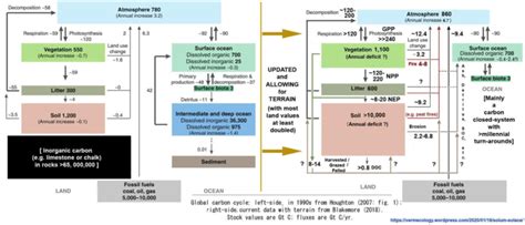 Organic Carbon Cycle Relevant To Climate Modified From Houghton 2007