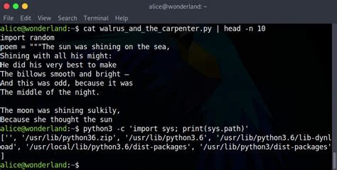 Guide Ctf Wonderland De Tryhackme Codequoi