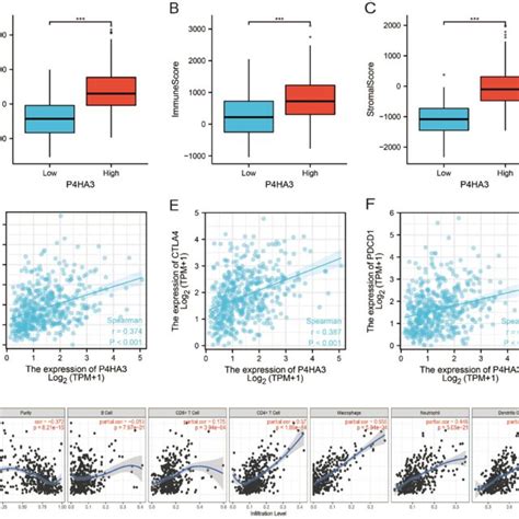 Correlations Of Tumor Immune Microenvironment Component Scores Immune Download Scientific