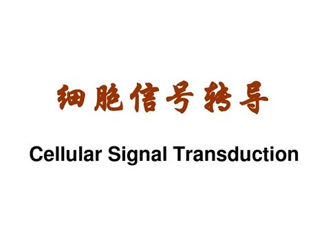 细胞信号转导第一章 细胞连接与细胞外基质 PPT课件 word文档在线阅读与下载 免费文档