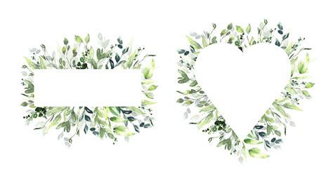 수채화 꽃 일러스트 세트 녹색 잎 프레임 컬렉션 결혼식 고정 인사말 배경 화면 패션 배경 유칼립투스 올리브 녹색 잎 등 고품질 일러스트레이션 유칼립투스에 대한 스톡 벡터