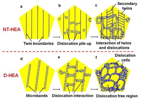 Maximizing Ductility In Non Equiatomic Single Phase Fcc High Entropy Alloys Max Planck