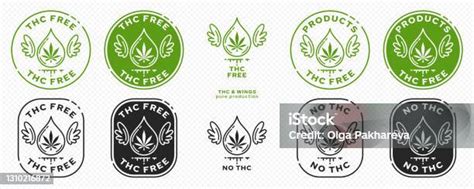 포장 제약 의료 화장품에 대한 개념 우표 마킹 Thc 무료 대마초 추출물은 식물 잎과 성분 라인으로 떨어집니다 벡터 요소입니다