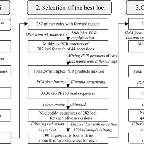 Flowchart Summarizing The Primary Protocol For Fingerprint Database