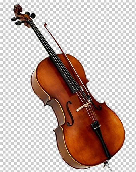 Cello Png 20 Free Cliparts Download Images On Clipground 2026