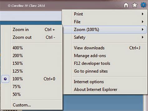 Caroline S Articles How To Change Text Size In Web Browsers