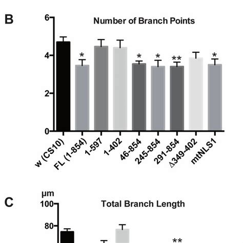 Overexpression Of Disc1 Suppresses Axonal Branching Of Mb Neurons A Download Scientific