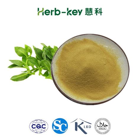 High Quality Tetrandrine Benefits 15 Years Manufacturers Nhk