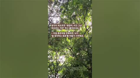 잡생각 걱정 불안 공황 우울 긍정 회복기 긍정의말 뇌건강 확언 힐링 Youtube