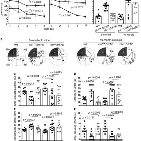 Effect Of Clusterin On Performance Of Spatial Learning And Memory In