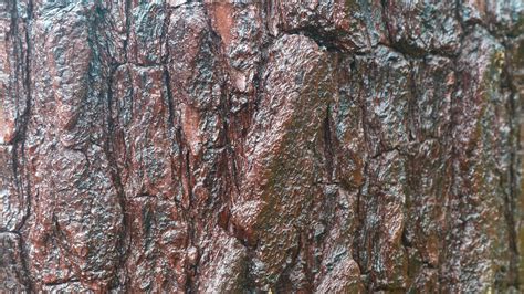 Pine Tree Bark Texture As Background 14938804 Stock Photo At Vecteezy