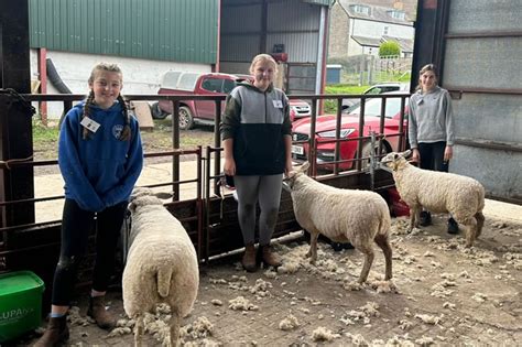 All Female Teams Shine At Libanus Yfc Brecon Uk
