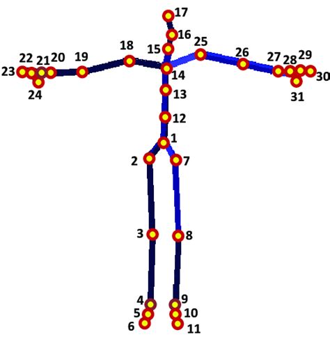 A The Skeleton Model P With All Joints J 31 For Both Mocap Dataset Download Scientific