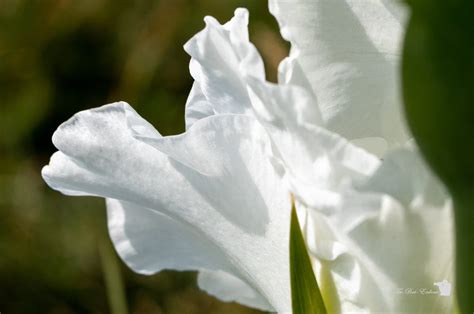 𝓣𝓼 𝓑𝓪𝓽 𝓔𝓻𝓭𝓮𝓷𝓮 🕉 On Twitter Нэгэн сайхан өдрийн мэнд ээ 🤗